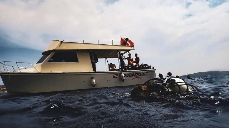 La Maddalena Archipelago & Lavezzi: Adventure Dives trip - The Practical Side: Details That Matter