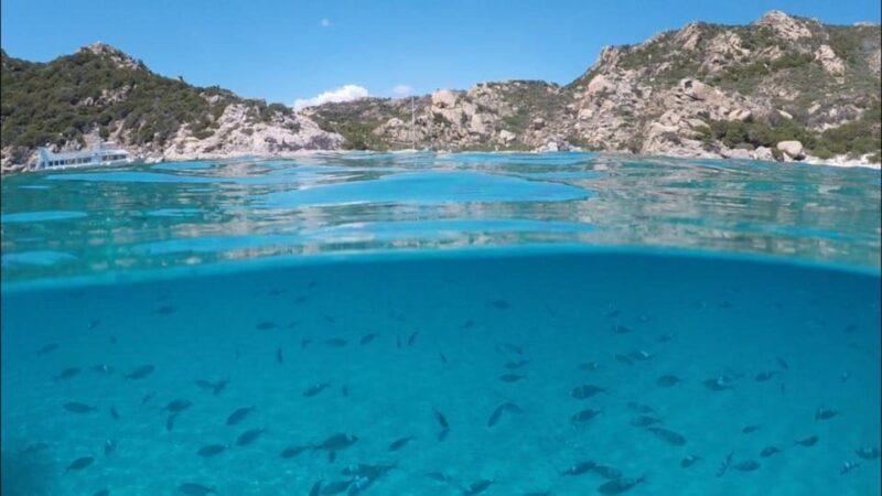 La Maddalena Arcipelago: sailing tour among the Islands - Key Points