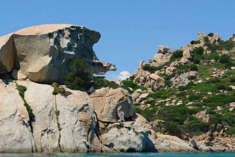 La Maddalena: Caprera,Spargi,Budelli & Santa Maria Boat Tour - Final Thoughts