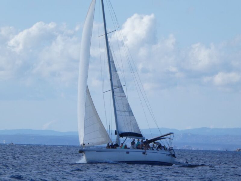La Maddalena: Full-Day Sailing Trip - Who Will Love This Tour?