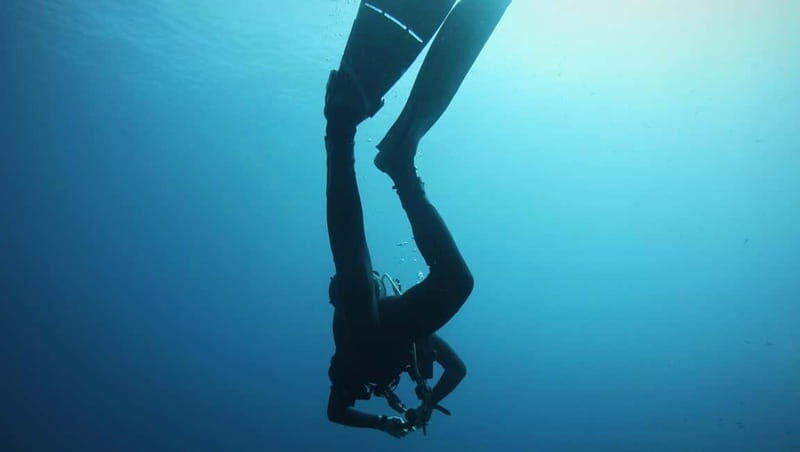 La Maddalena & Lavezzi: Full-Day Boat Scuba Diving Trip - Key Points