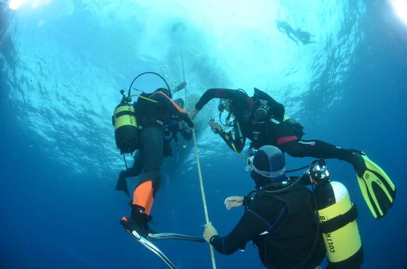La Maddalena: Scuba Diving Experience for Beginners - Final Thoughts