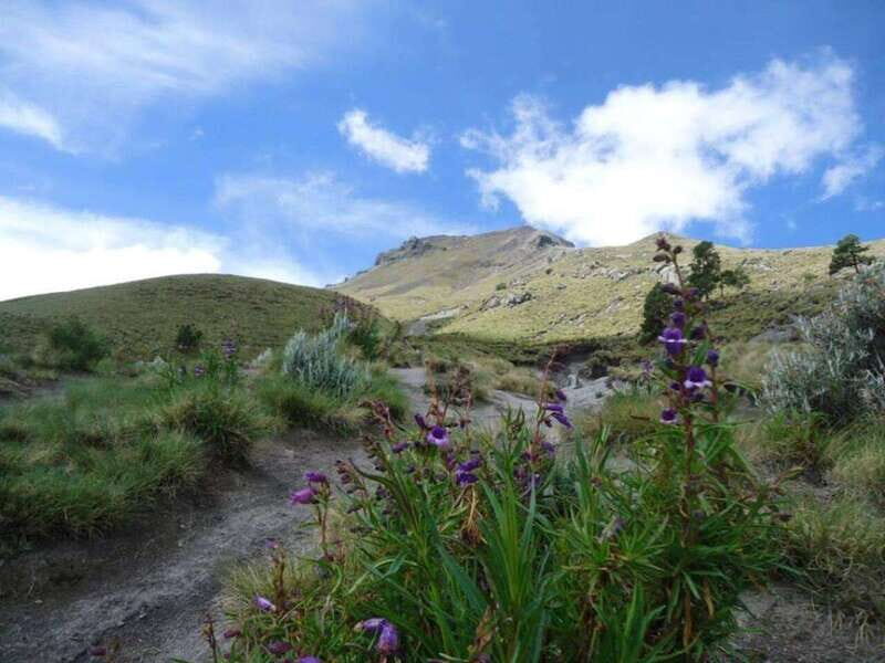 La Malinche Volcano: Hike to the Top and Explore Tlaxcala - An In-Depth Look at the Experience