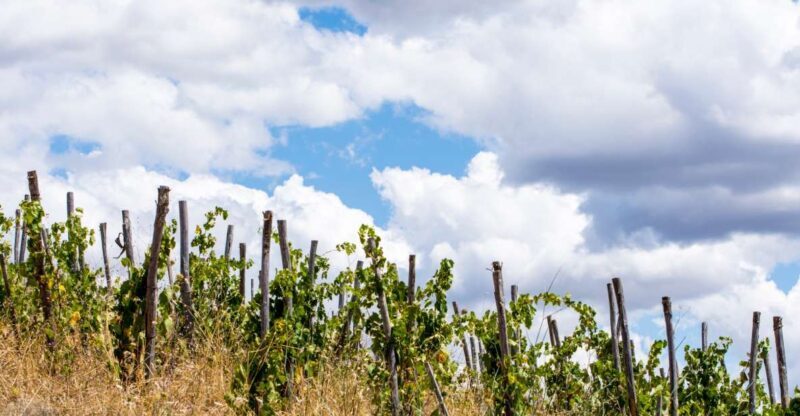 La Maliosa Farm Experience & Wine Tasting - Frequently Asked Questions
