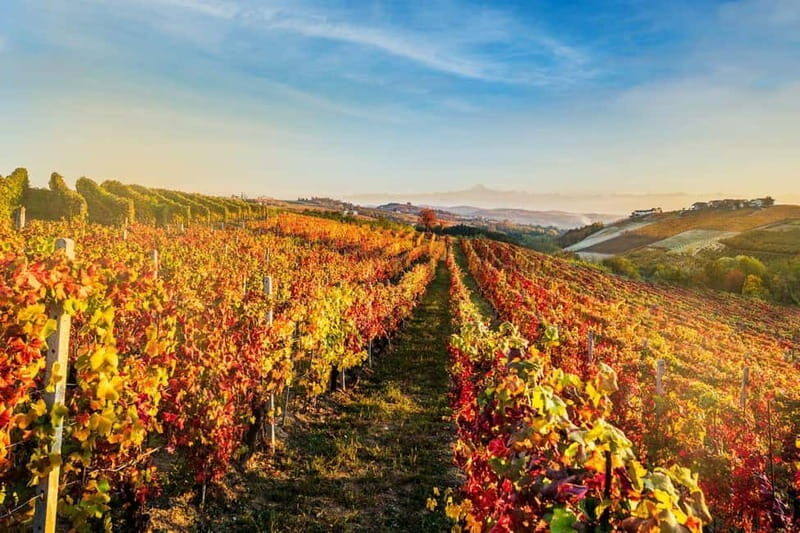 La Morra: A Journey through Barolo's Finest Vintages - Key Points