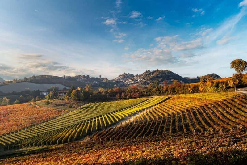 La Morra: A Journey through Barolo's Finest Vintages - Exploring Cantina Moscone: A Blend of Tradition and Modern Winemaking