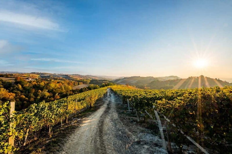 La Morra: A Journey through Barolo's Finest Vintages - The Heart of the Experience: Tasting Five Unique Vintages