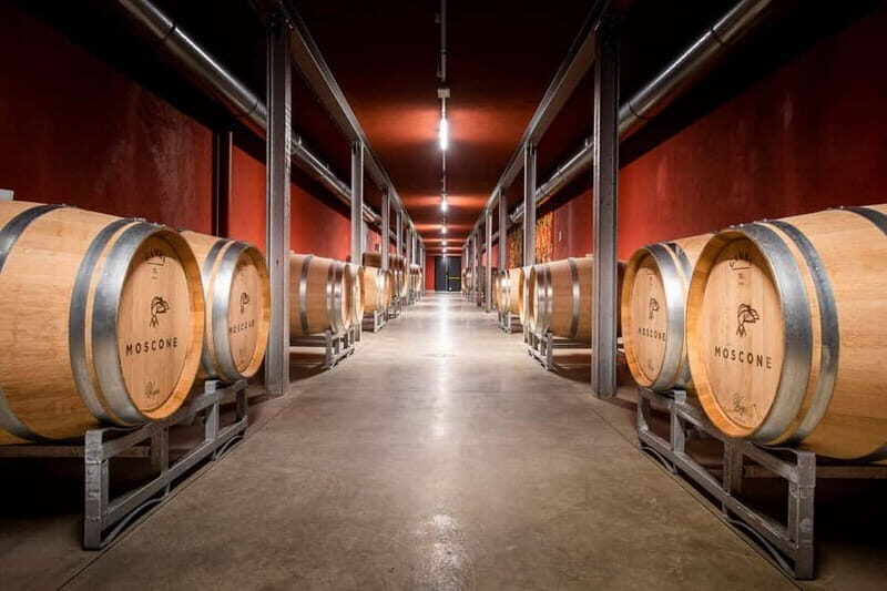 La Morra: A Journey through Barolo's Finest Vintages - What to Expect During Your Visit