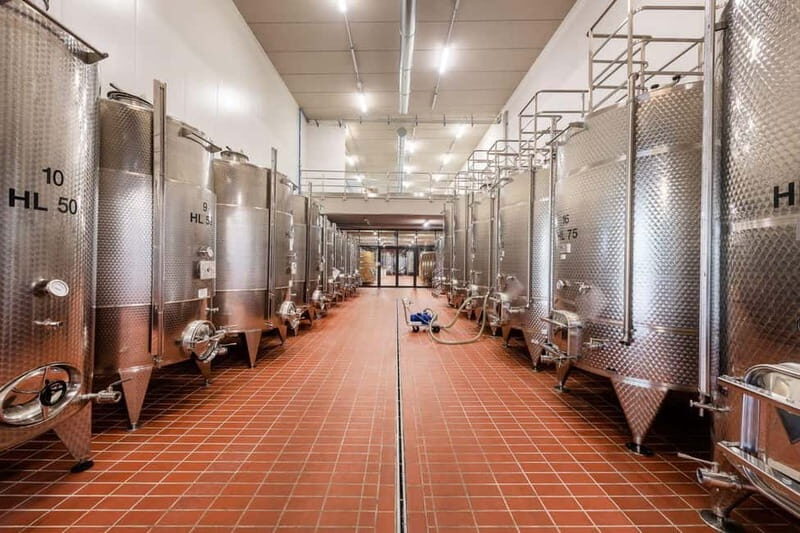 La Morra: A Journey through Barolo's Finest Vintages - Final Thoughts: Who Will Love This Tour?