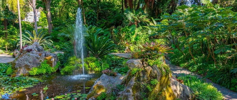 La Mortella Gardens excursion from Ischia - An In-Depth Look at La Mortella Gardens Tour