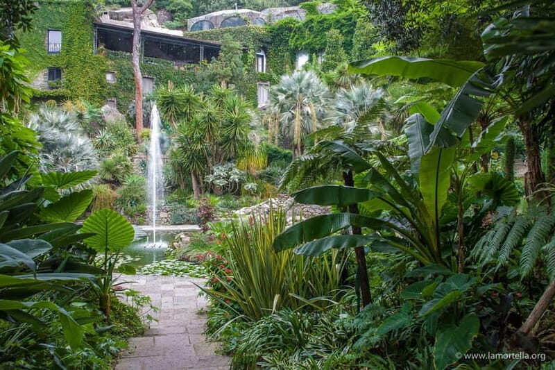 La Mortella Gardens excursion from Ischia - Final Thoughts