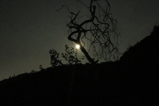 LA Night Hikers - An In-Depth Look at LA Night Hikers