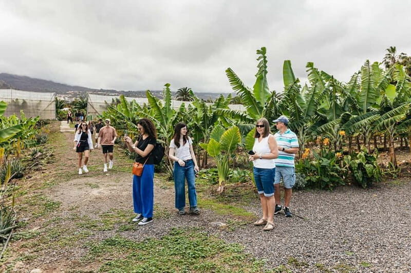 La Orotava: Eco Banana Plantation Tour with Banana Liquor - Frequently Asked Questions