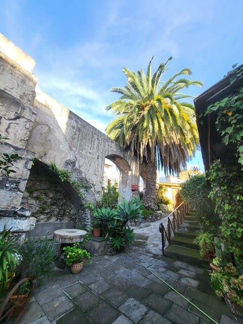 La Orotava: guided tour with gofio tasting, Los Molinos de la Villa - The Itinerary and Experience