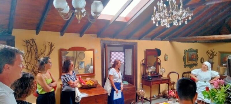 La Orotava: guided tour with gofio tasting, Los Molinos de la Villa - Who Will Love This Experience?