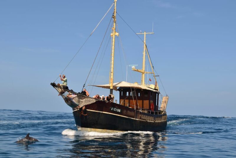 La Palma: 4 Stunden Bussard Classic Tour - FAQ zur La Palma Bussard Classic Tour