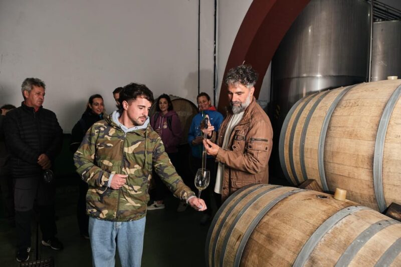 La Palma: Bodegas Teneguia Winery Tour with Wine Tasting - Key Points