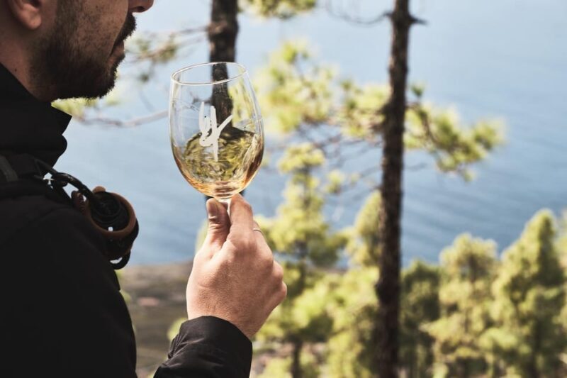 La Palma: Bodegas Teneguia Winery Tour with Wine Tasting - Practical Tips for Visitors