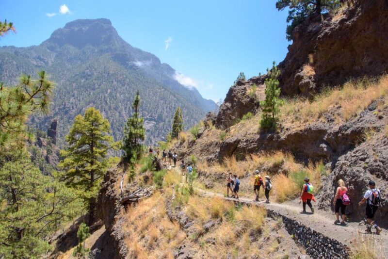 La Palma: Caldera de Taburiente National Park Guided Hike - Key Points