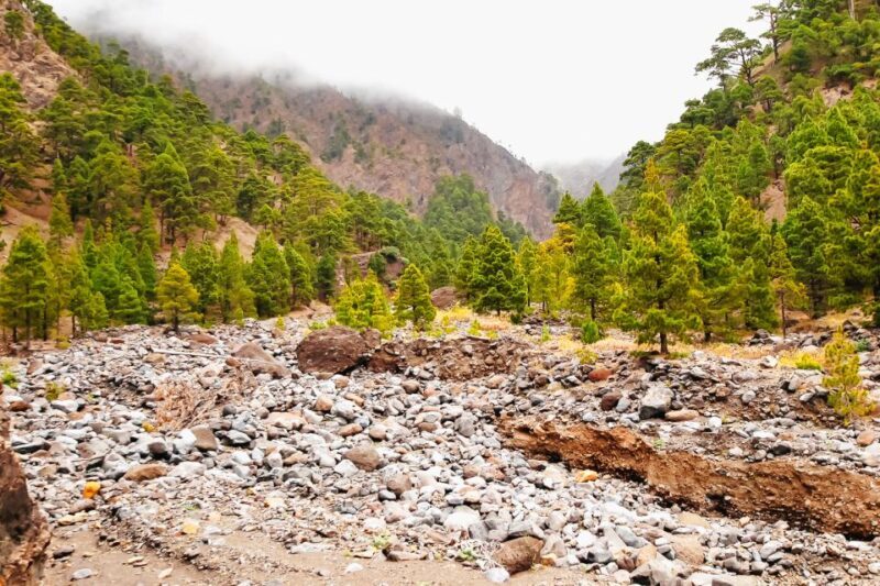 La Palma: Caldera de Taburiente National Park Guided Hike - An In-Depth Look at the Caldera de Taburiente Guided Hike