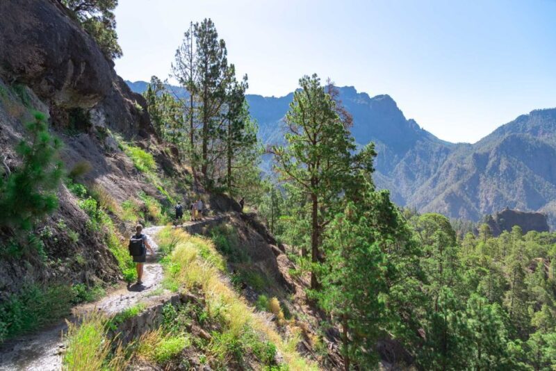La Palma: Caldera de Taburiente National Park Guided Hike - Who Will Love This Tour?