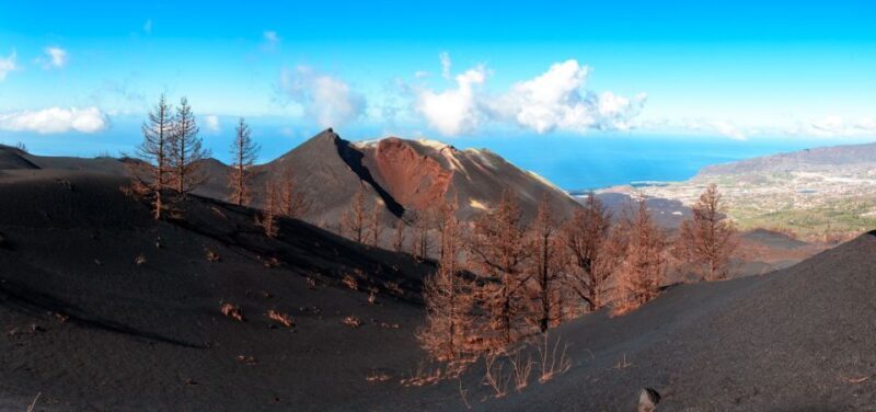 La Palma: Guided Tour to Tajogaite Volcano with Transfer - Starting with Convenience: Pickup and Arrival