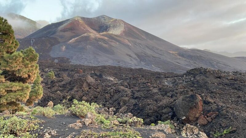 La Palma: Guided Tour to Tajogaite Volcano with Transfer - The Highlights: Power, Resilience, and Scenery