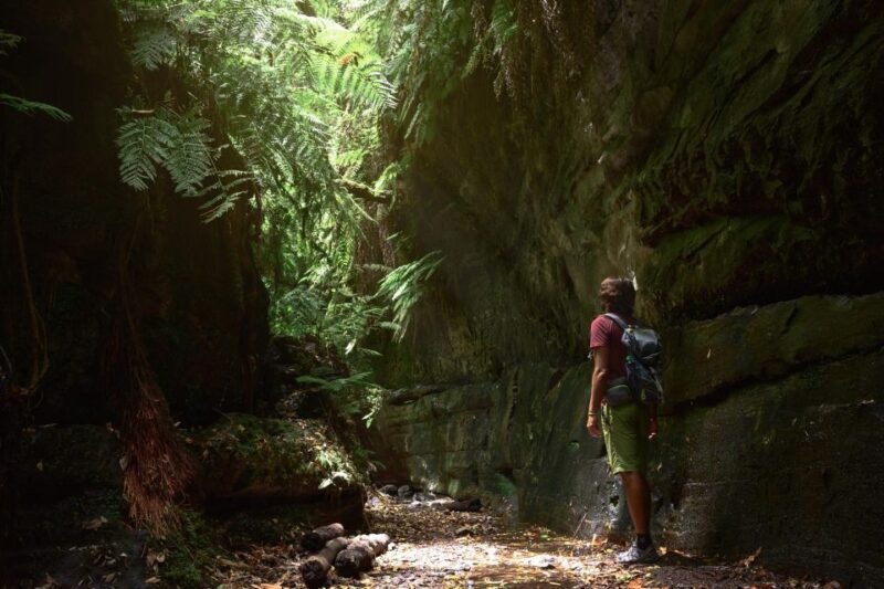 La Palma: Guided Trekking Tour To Cubo de la Galga - Key Points