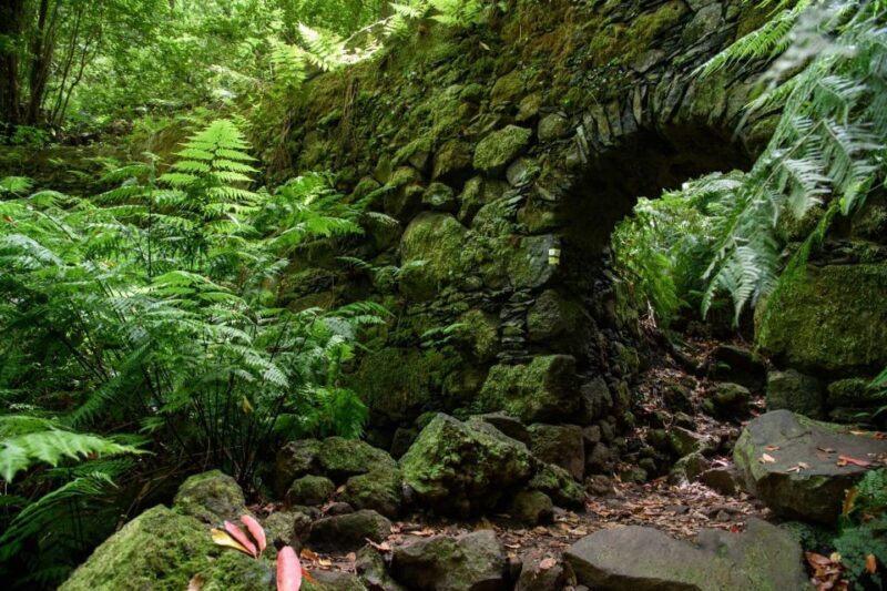 La Palma: Guided Trekking Tour To Cubo de la Galga - FAQ