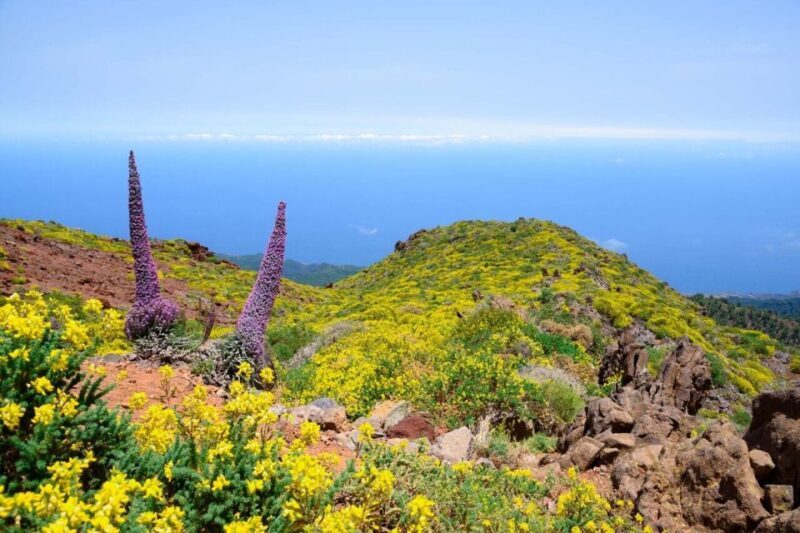 La Palma: Guided Trekking Tour to El Roque de los Muchachos - The Itinerary: What You Can Expect