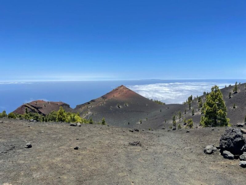 La Palma: Guided trekking tour to volcanoes south - An In-Depth Look at the La Palma Volcanoes Trekking Tour
