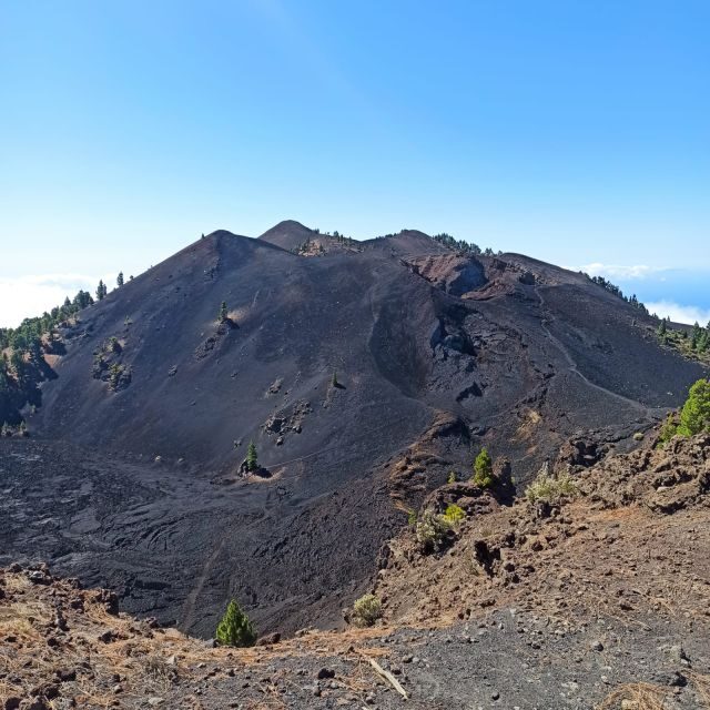 La Palma: Guided trekking tour to volcanoes south - Who Will Love This Tour?