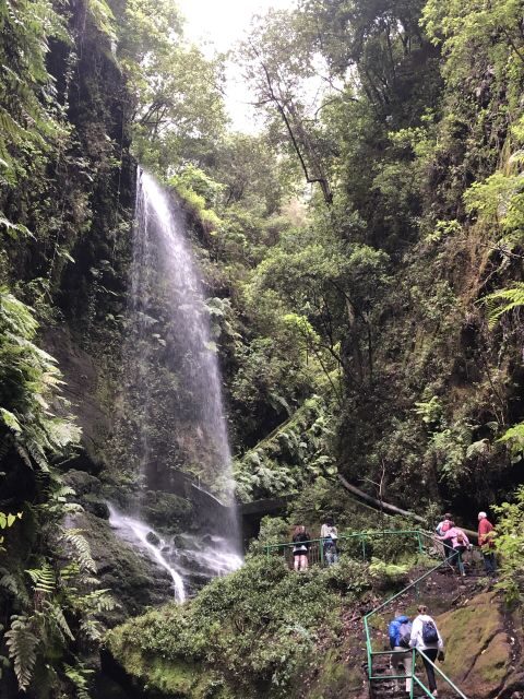 La Palma: North Island Bus Tour with Ron Aldea Distillery - An Authentic Slice of La Palma: What to Expect