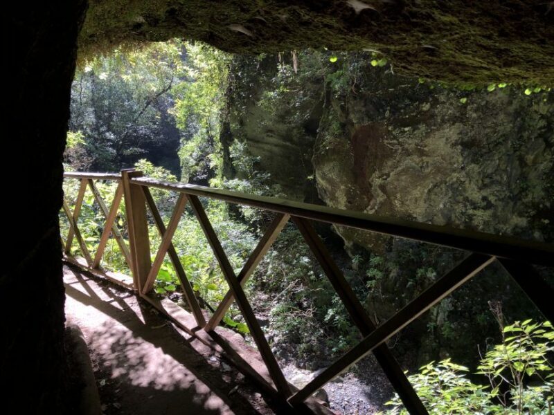 La Palma: North Island Bus Tour with Ron Aldea Distillery - Who Will Love This Tour?