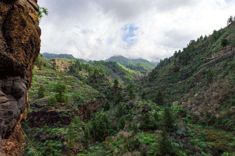 La Palma: Porís de Candelaria Hiking tour - The Realities of the Experience, Based on Reviews