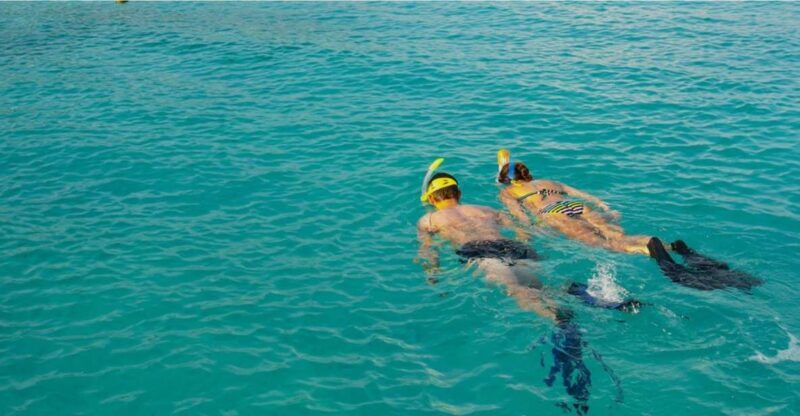 La Palma : Snorkeling Tour in Los Cancajos - The Sum Up: Who Will Love This Tour?
