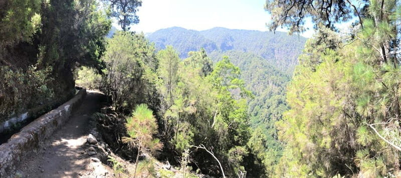 La Palma: Springs Marcos y Cordero Guided Trekking Tour - Key Points