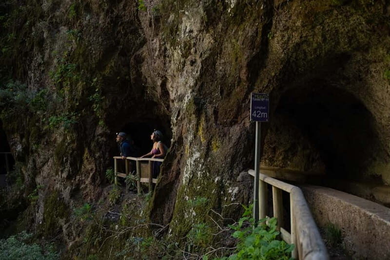 La Palma: Springs Marcos y Cordero Guided Trekking Tour - FAQs