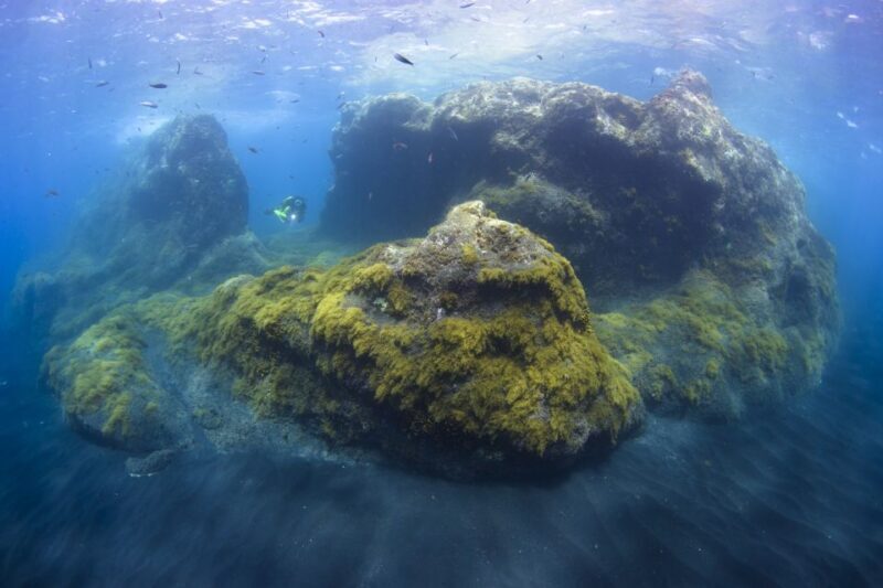 La Palma: SSI Try Scuba Program - Final Thoughts on Value and Authenticity