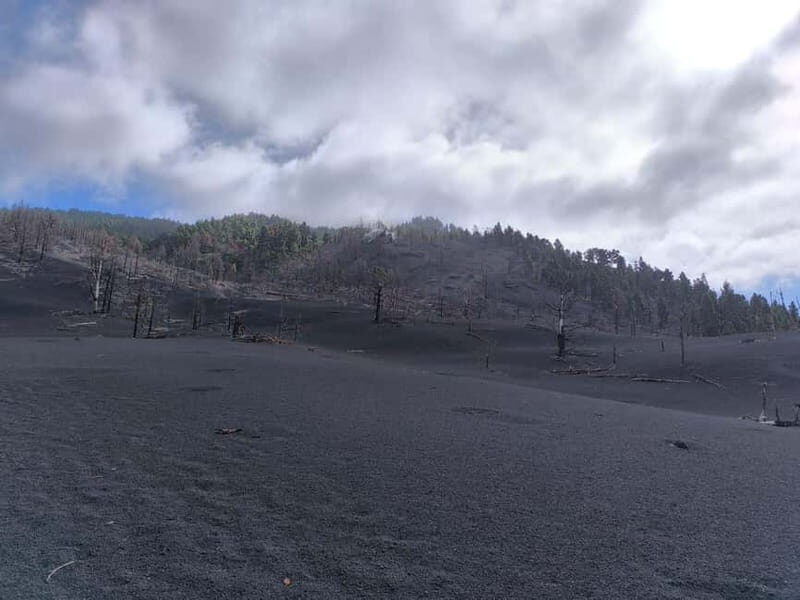 La Palma: Tajogaite Volcano Guided Hike ( ES-ED ) - Key Points