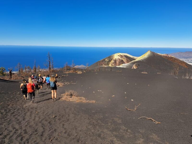La Palma: Tajogaite Volcano Guided Trek - The Experience: What Travelers Say