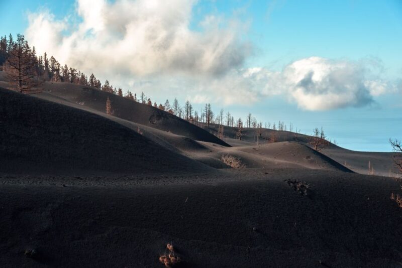 La Palma: Tajogaite Volcano Guided Trek - The Sum Up: Who Will Love This Tour?