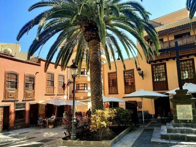 La Palma Tour: Santa Cruz, Cumbrecita and Volcanic Landscape - The Sum Up