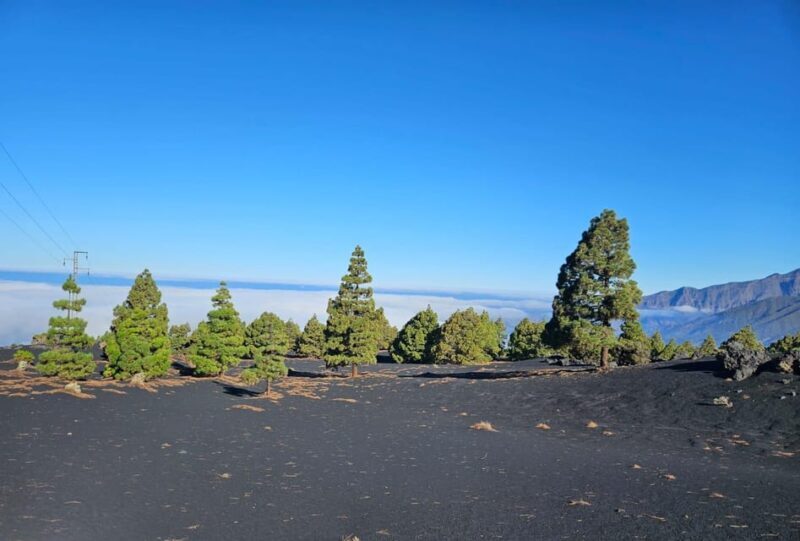 La Palma: Tour to the new Tajogaite volcano 360º. - Key Points