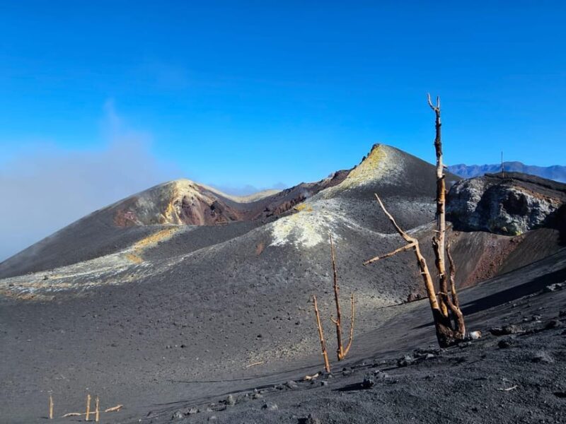 La Palma: Tour to the new Tajogaite volcano 360º. - Authenticity and Practicality: What Reviewers Say