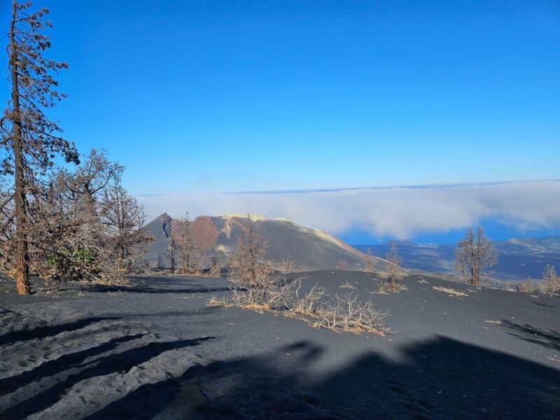 La Palma: Tour to the new Tajogaite volcano 360º. - Who Should Consider This Tour?