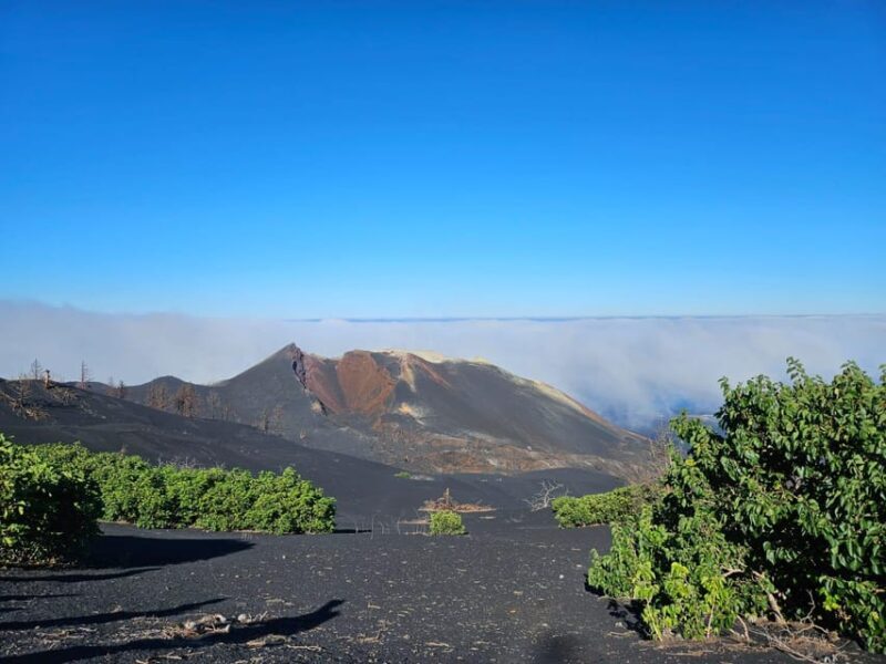 La Palma: Tour to the new Tajogaite volcano 360º. - FAQ