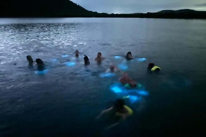 La Parguera Bio Bay Boat Ride and Swimming w/ San Juan Transport - A Deep Dive into the Experience