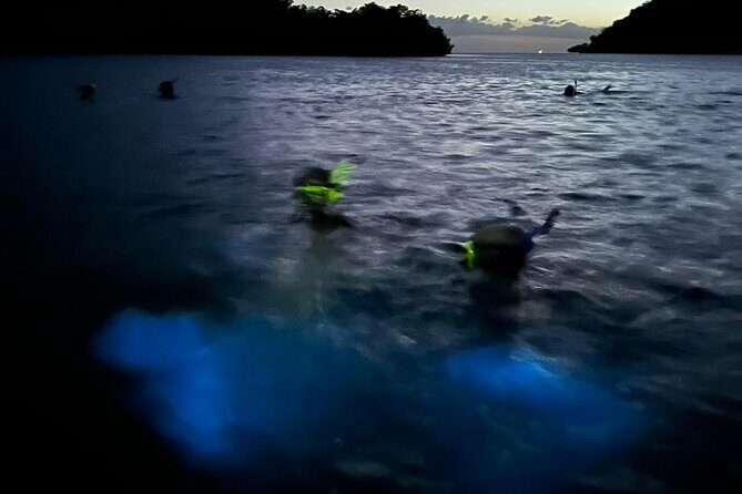 La Parguera Bio Bay Boat Ride and Swimming w/ San Juan Transport - Who Should Consider This Tour?