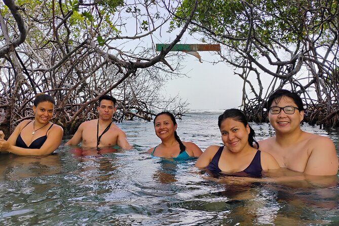 La Parguera Boat Charter with Captain: Kayak & Snorkel - Practical Details & Tips